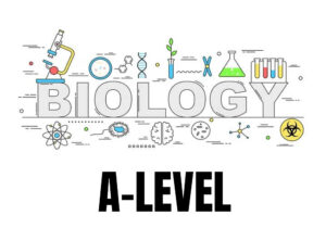 What challenges do AP Calculus AB often bring to students? - Gia sư IB